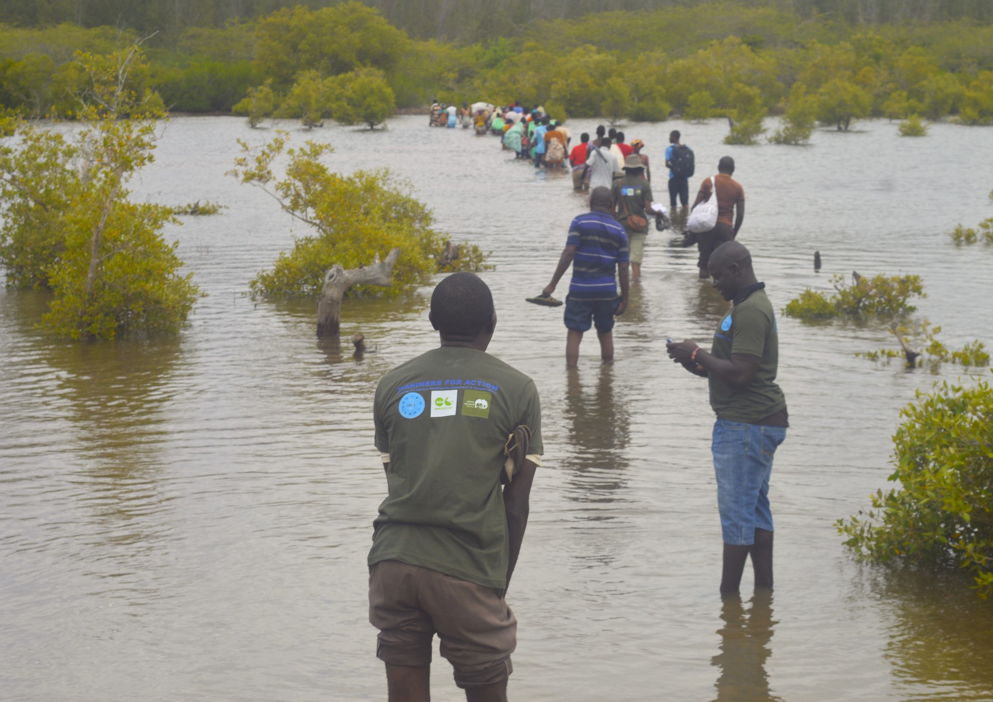 Mariners FA – Preserving Marine Life for a Sustainable Future